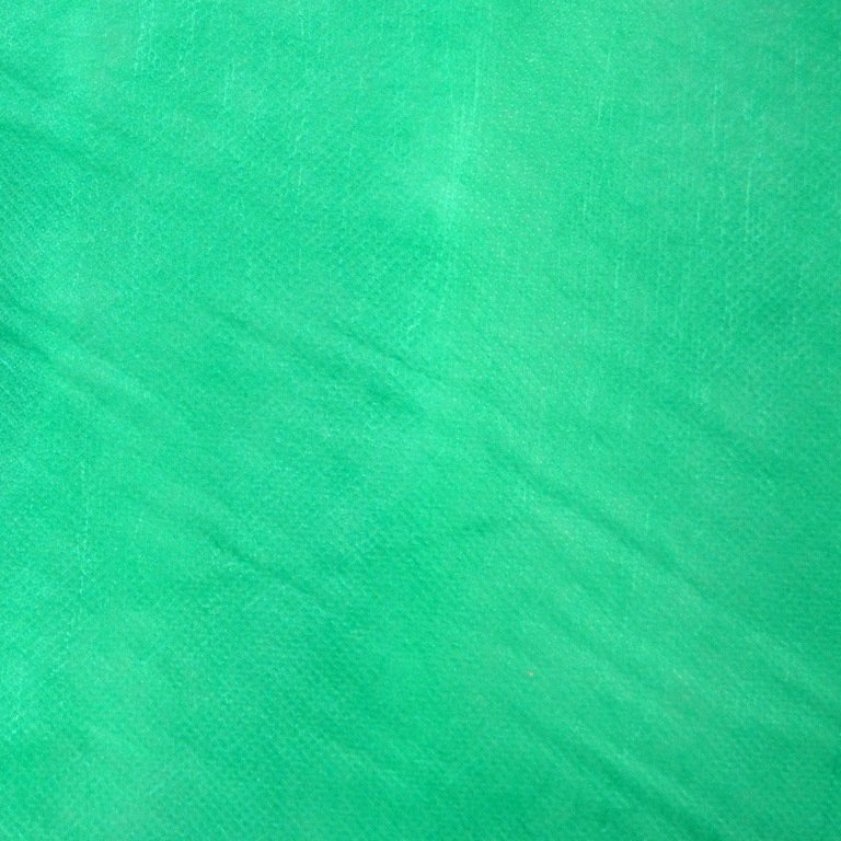 Friselina-Verde-Benetton – Rapitelas.com